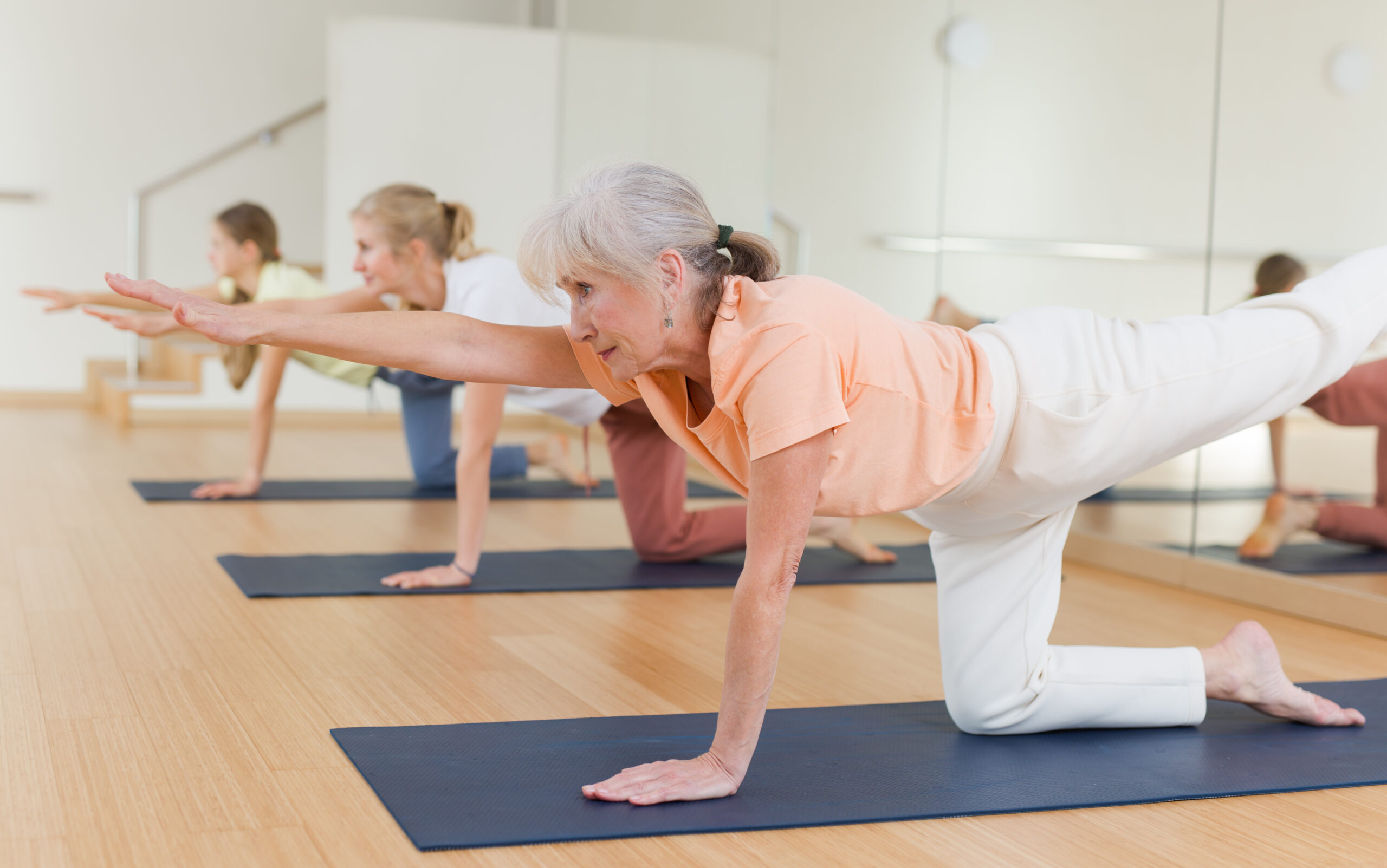 Empowering Active Aging Adults with Physical Therapy